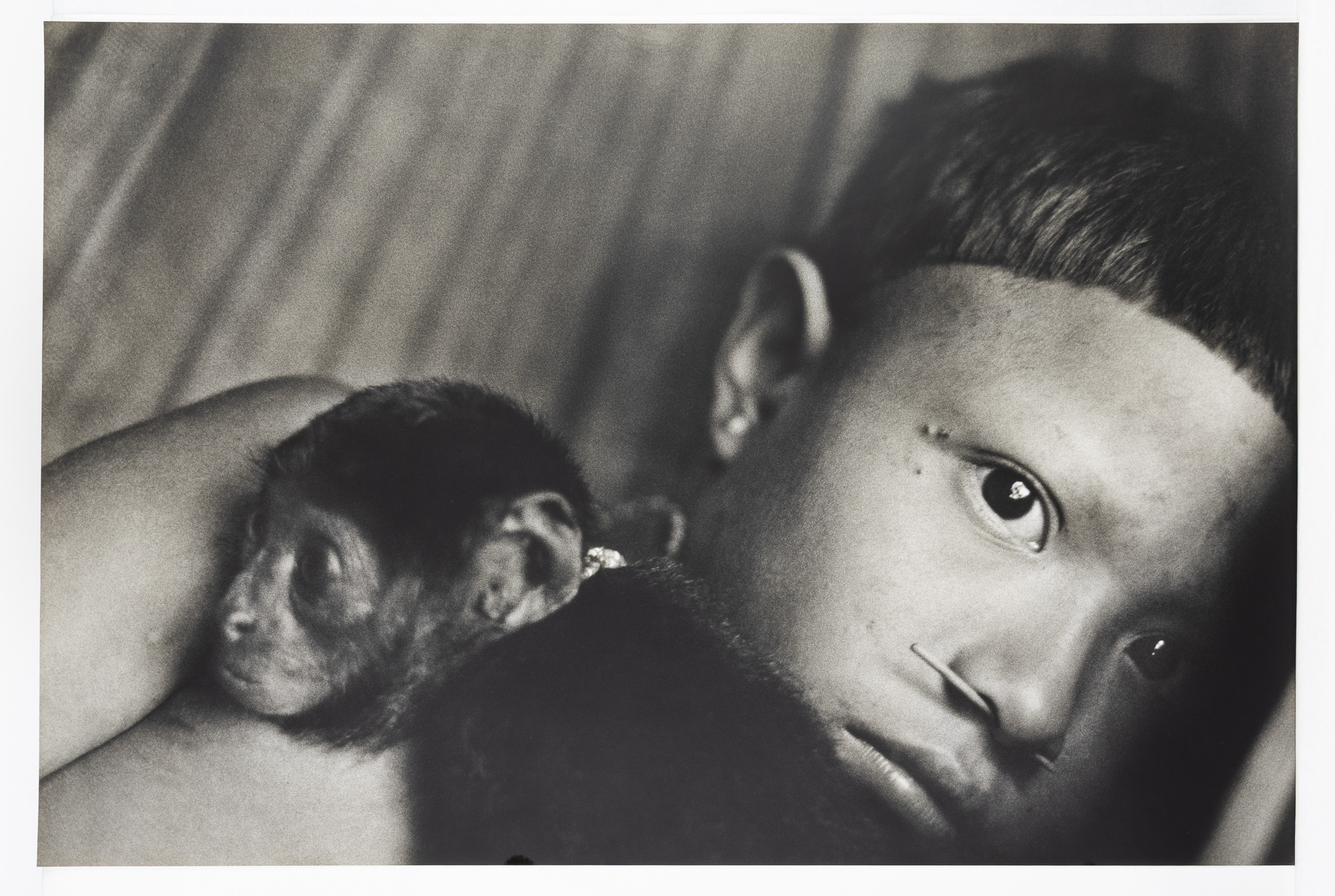 Índios Arara do Pará - Museu Afro Brasil