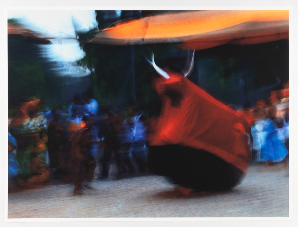 Festa da burrinha - Museu Afro Brasil
