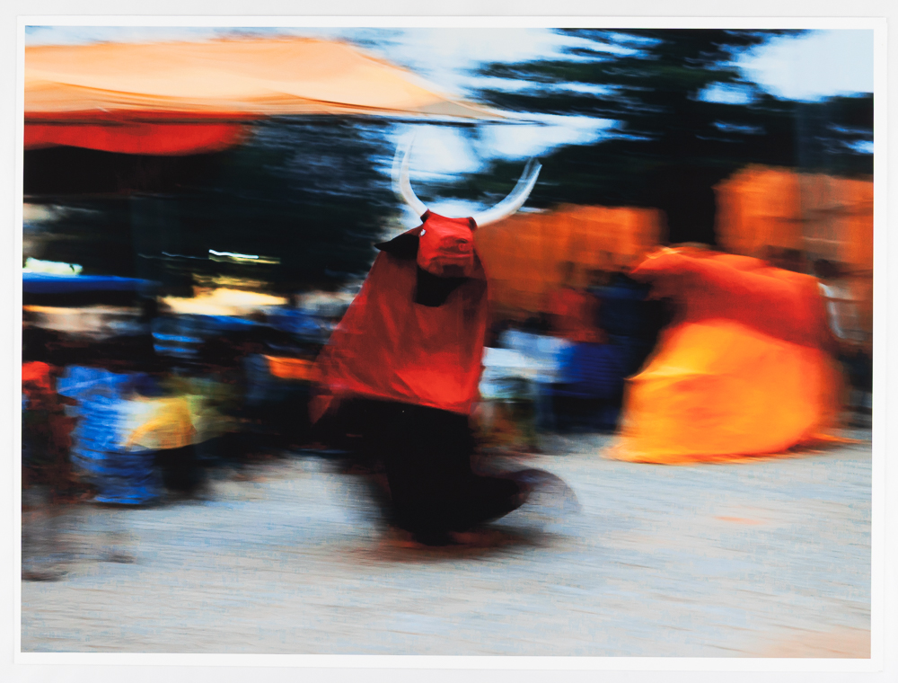 Festa da Burrinha - Museu Afro Brasil